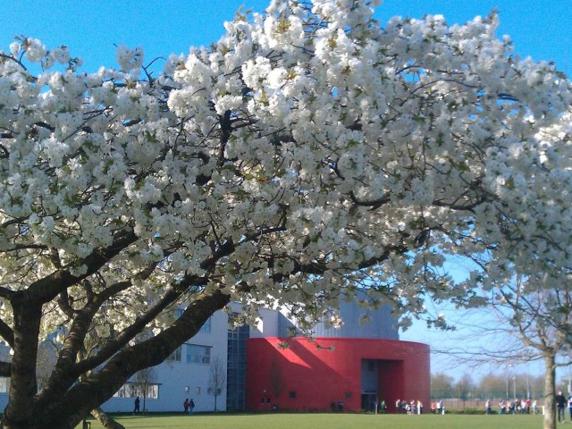 Waterford Institute of Technology | Higher Education Institutions ...